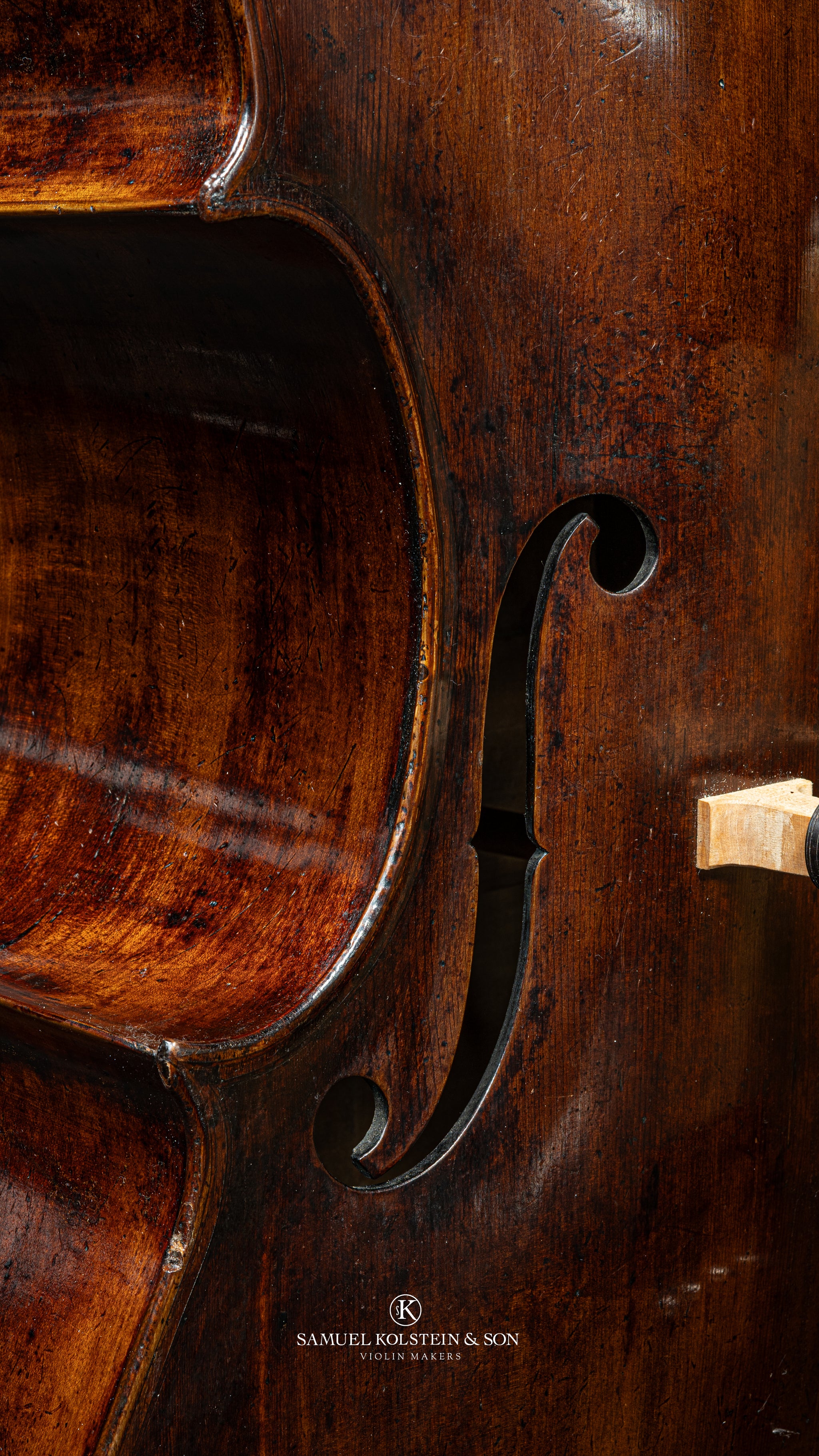 Bella Racz Gasparo DaSalo Master Model Bass – Kolstein Music