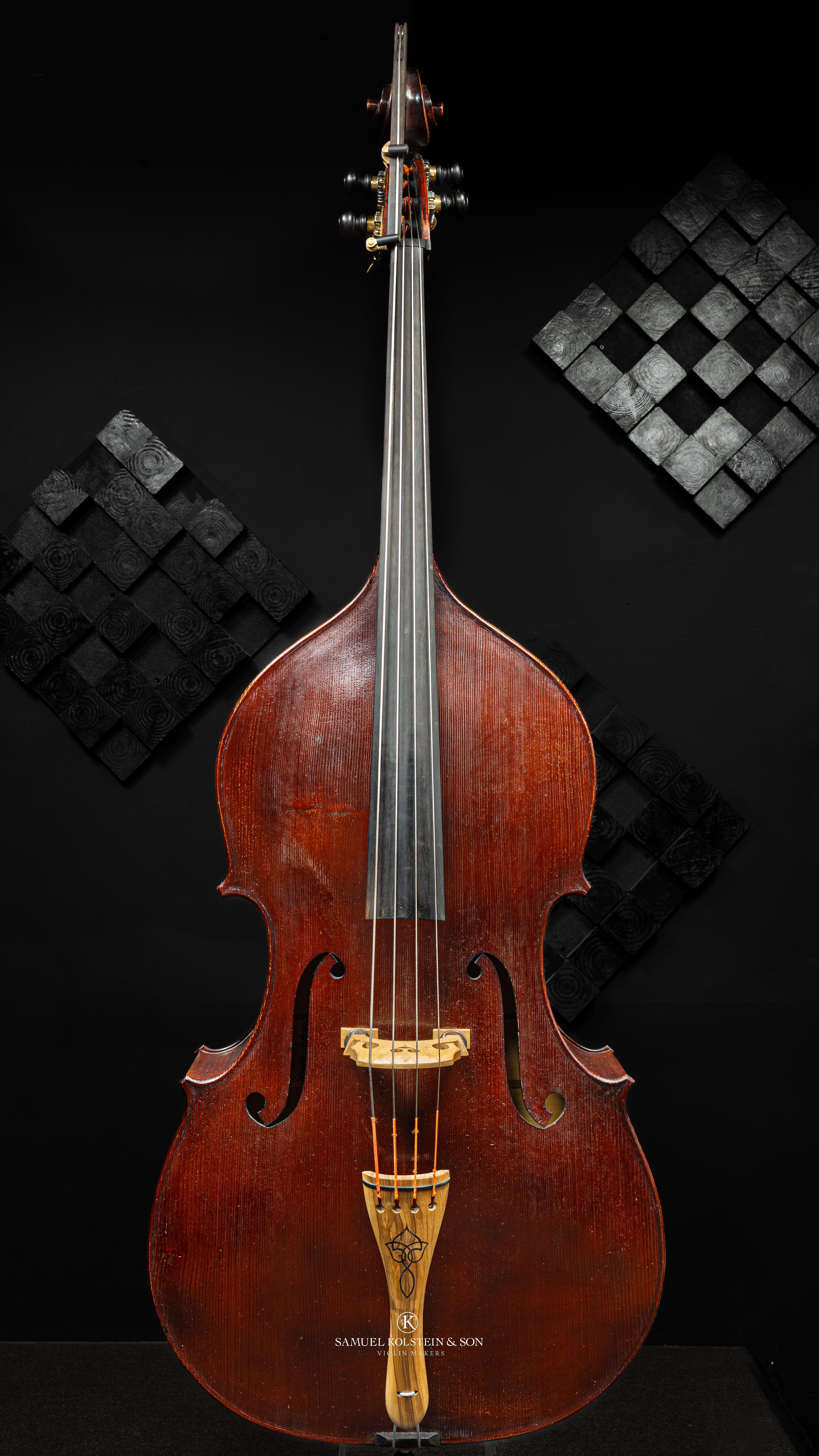 Assandri Modern Italian Bass – Kolstein Music