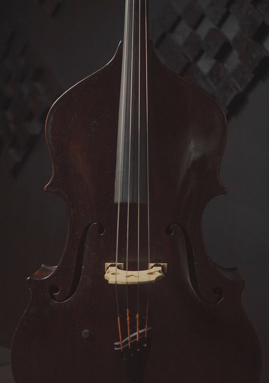 19th Century Northern Italian Bass Violin – Kolstein Music