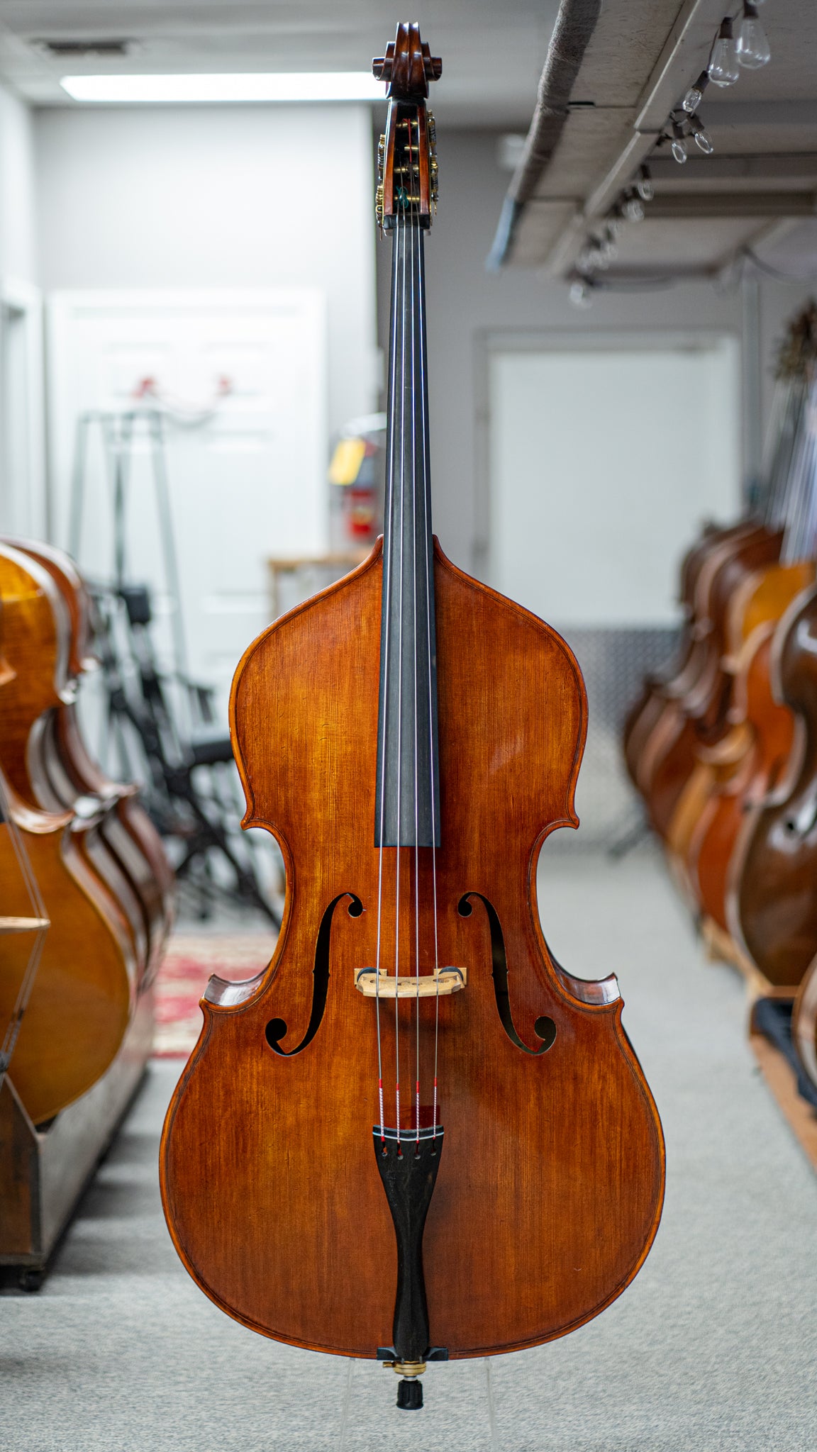 Liandro DiVacenza #650 Orchestral Bass – Kolstein Music
