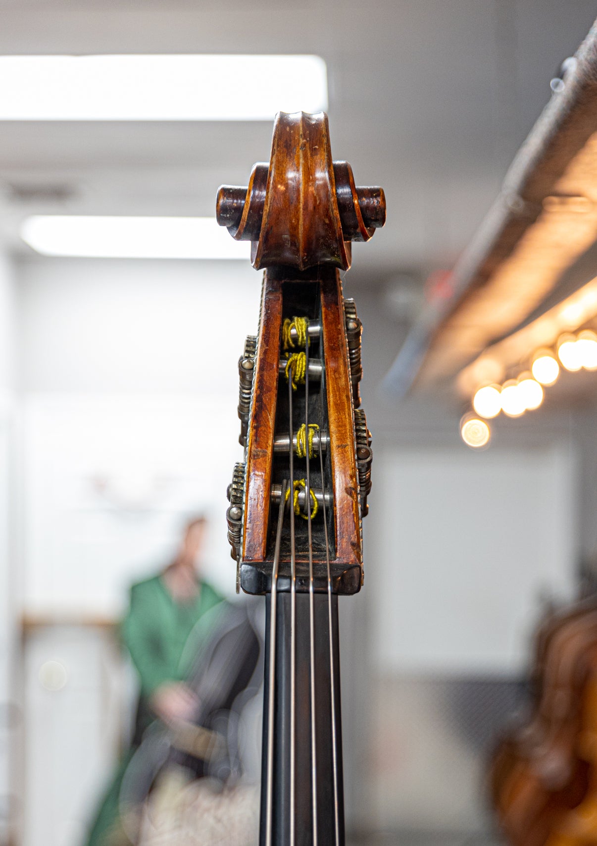 Juzek Roundback Bass – Kolstein Music