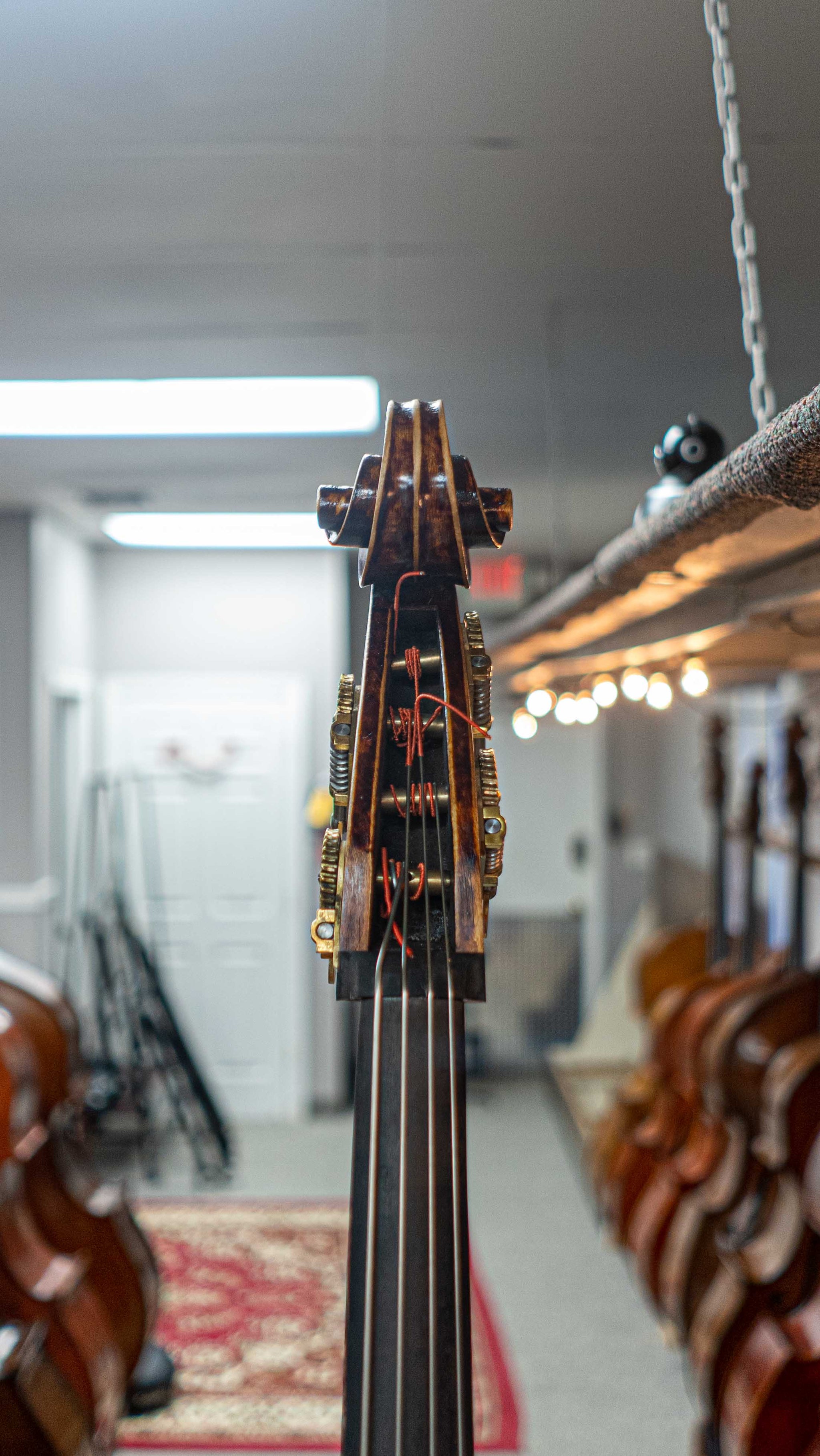 Tibor Racz Bass – Kolstein Music