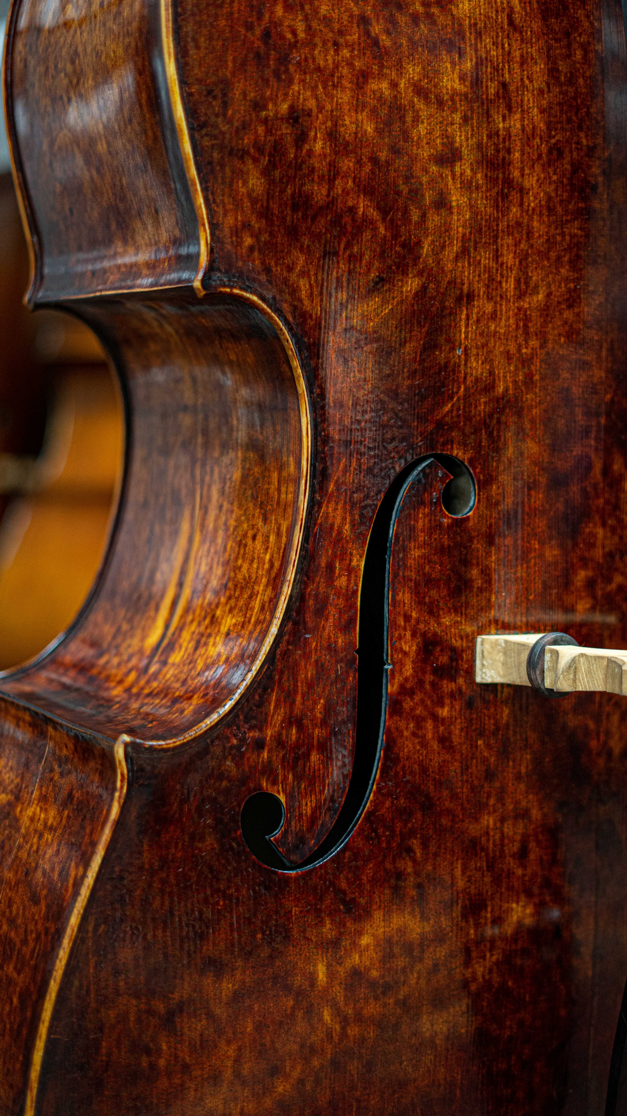 Tibor Racz Bass – Kolstein Music