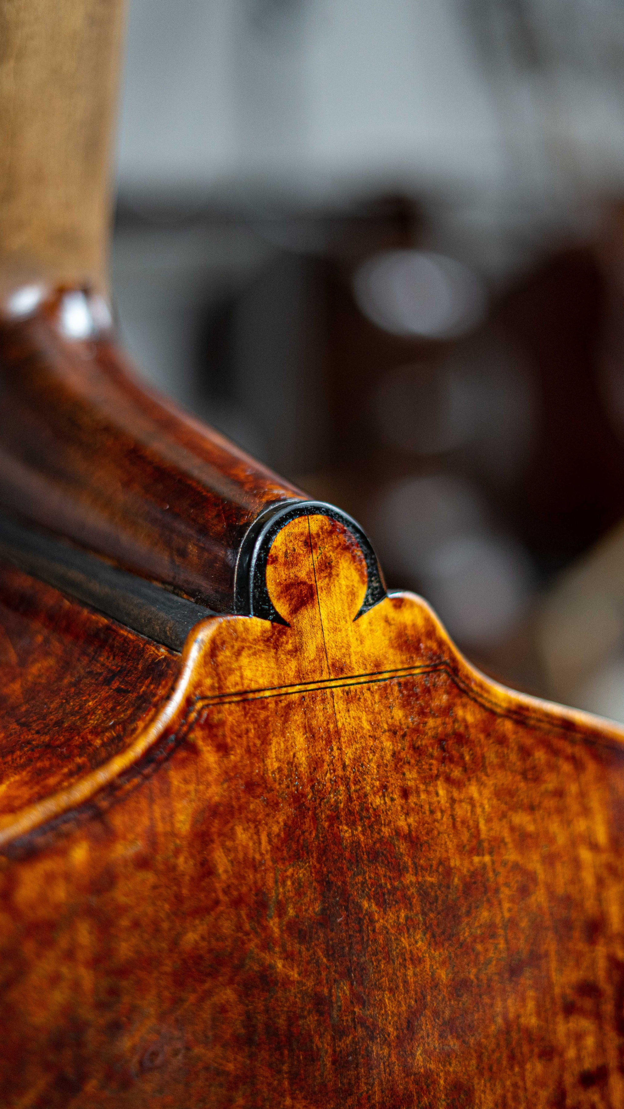 Tibor Racz Bass – Kolstein Music