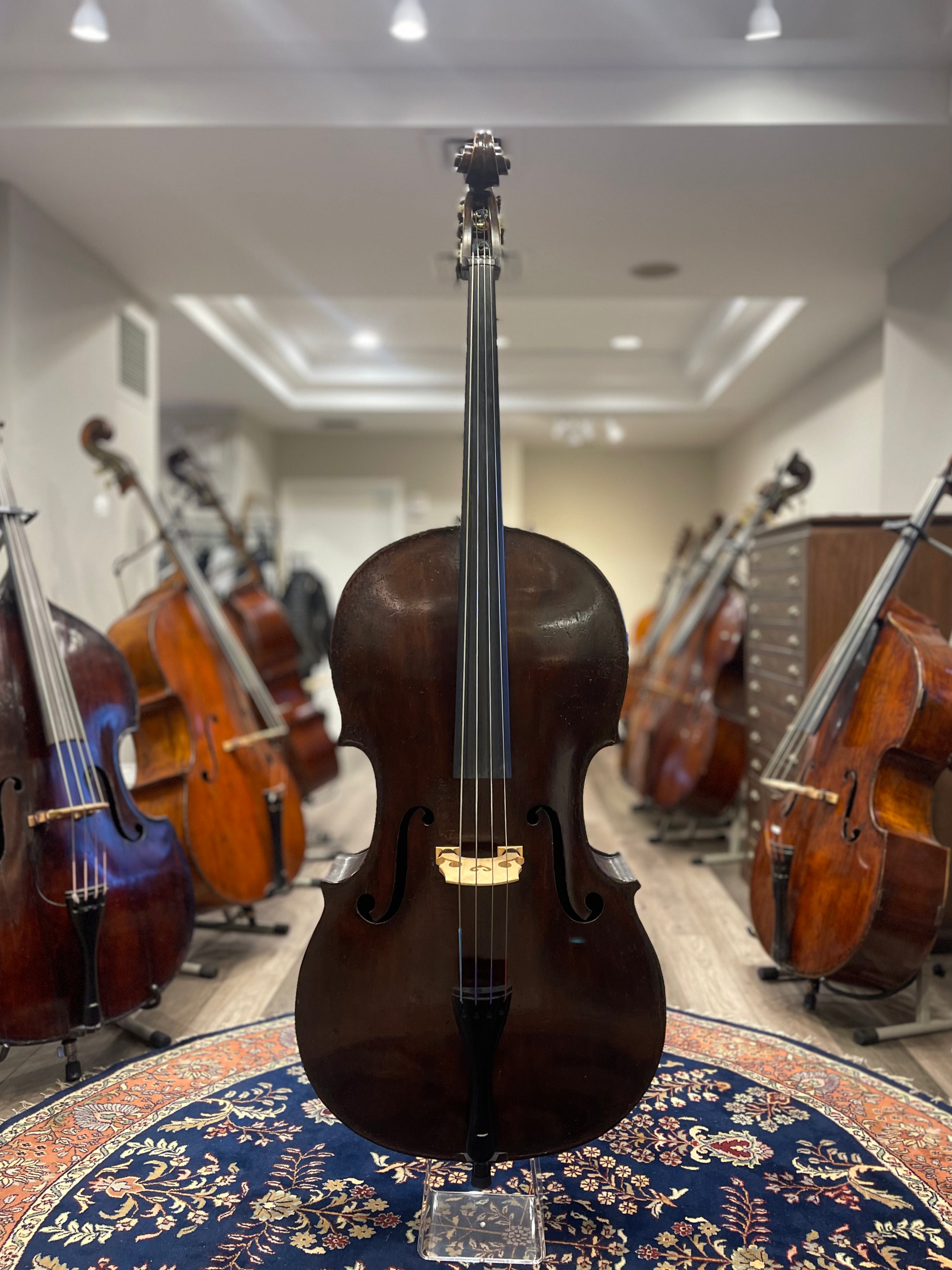 The "Duke" Ex Orin O'Brien Bass – Kolstein Music